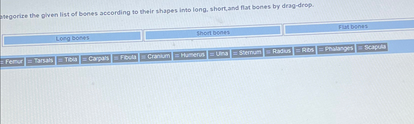 Solved ategorize the given list of bones according to their | Chegg.com