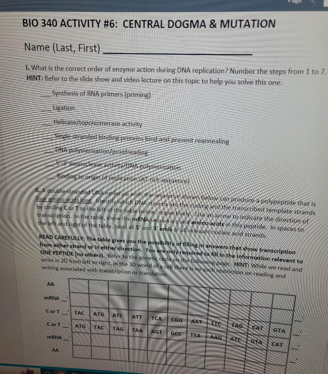 Solved II. A double-stranded DNA molecule with the sequence | Chegg.com