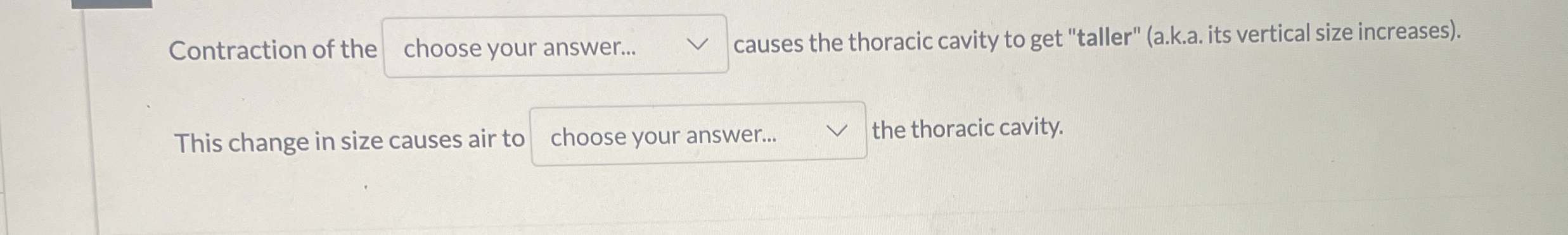 Solved Contraction of the auses the thoracic cavity to get | Chegg.com
