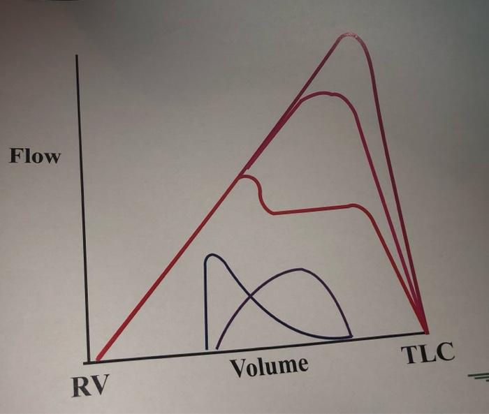 Solved can someone explain in detail this respiratory chart. | Chegg.com