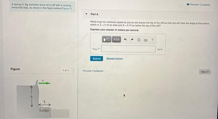Solved Adaring 51 kg swimmer dives off a cliff with a | Chegg.com