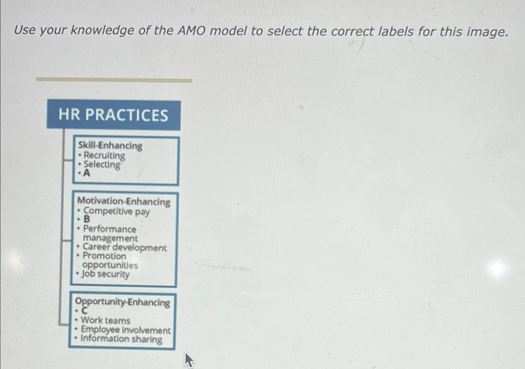 Solved Use your knowledge of the AMO model to select the | Chegg.com