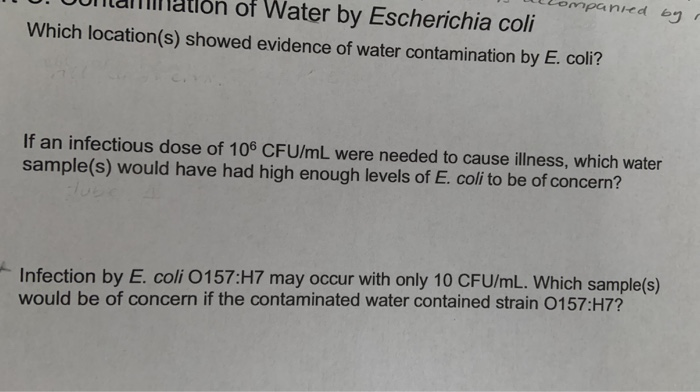 Solved of Water by Escherichia coli Which location(s) showed | Chegg.com
