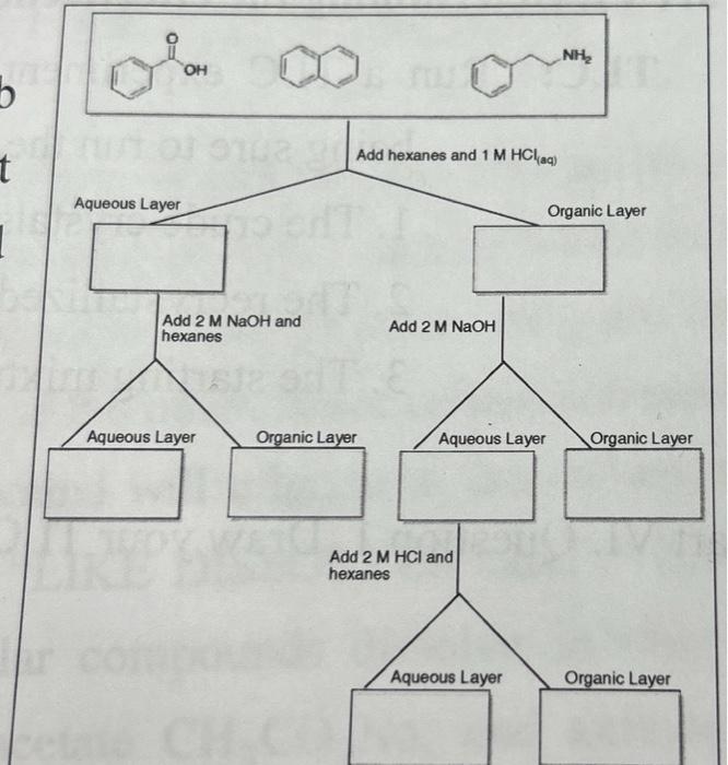 Solved Add hexanes and 1MHCl(aq) Aqueous Layer Organic | Chegg.com