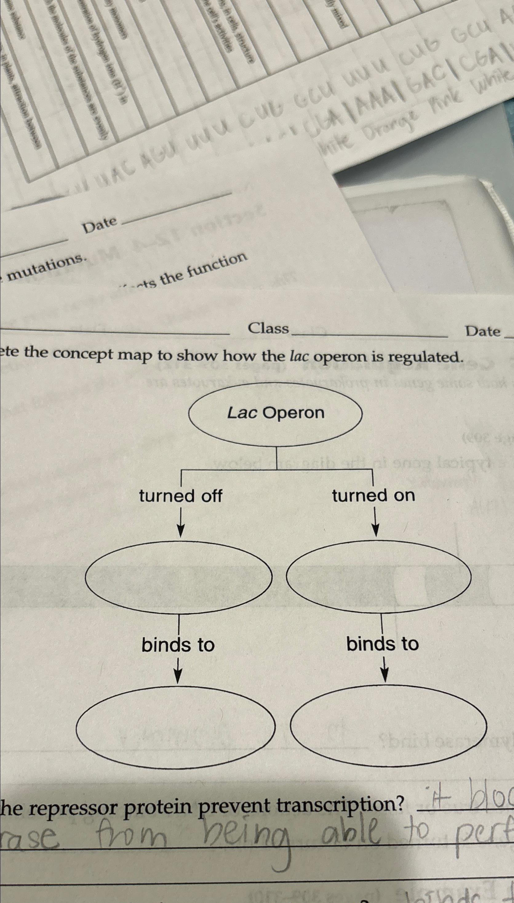 Solved mutations. ﻿ats the functionClassDatete the concept | Chegg.com