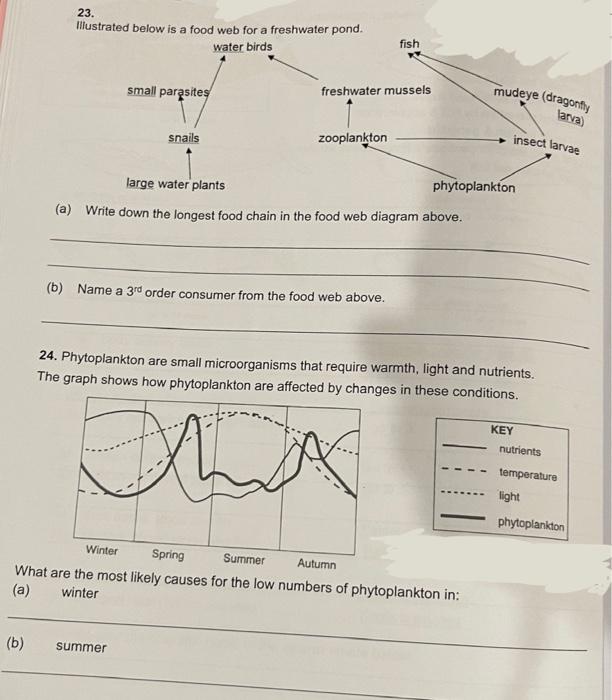 Solved 23. (a) Write down the longest food chain in the food | Chegg.com