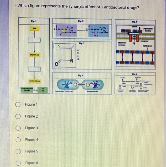 Solved - Which figure represents the synergic effect of 2 | Chegg.com