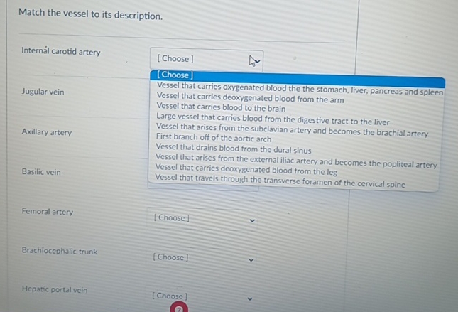 Solved Match the vessel to its description.Internal carotid | Chegg.com