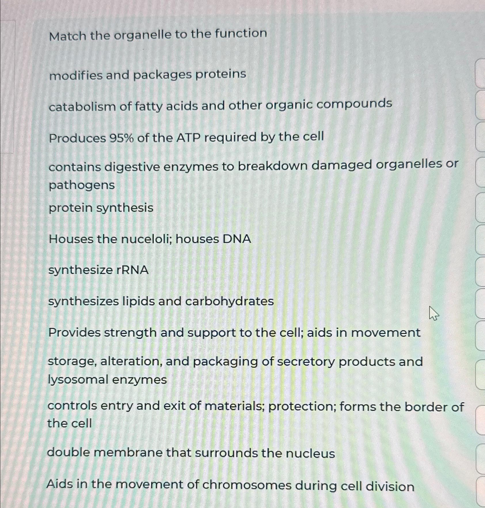 Solved Match the organelle to the functionmodifies and | Chegg.com