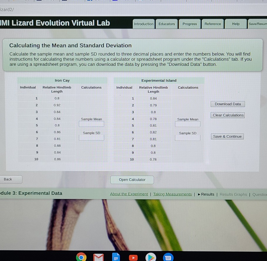 Solved izard2/ IMI Lizard Evolution Virtual Lab Introduction | Chegg.com