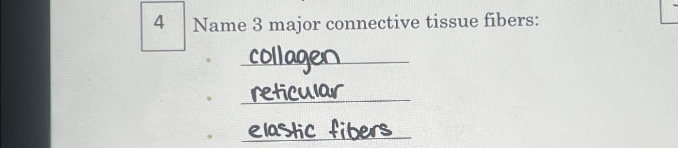 Solved 4 ﻿Name 3 ﻿major connective tissue | Chegg.com