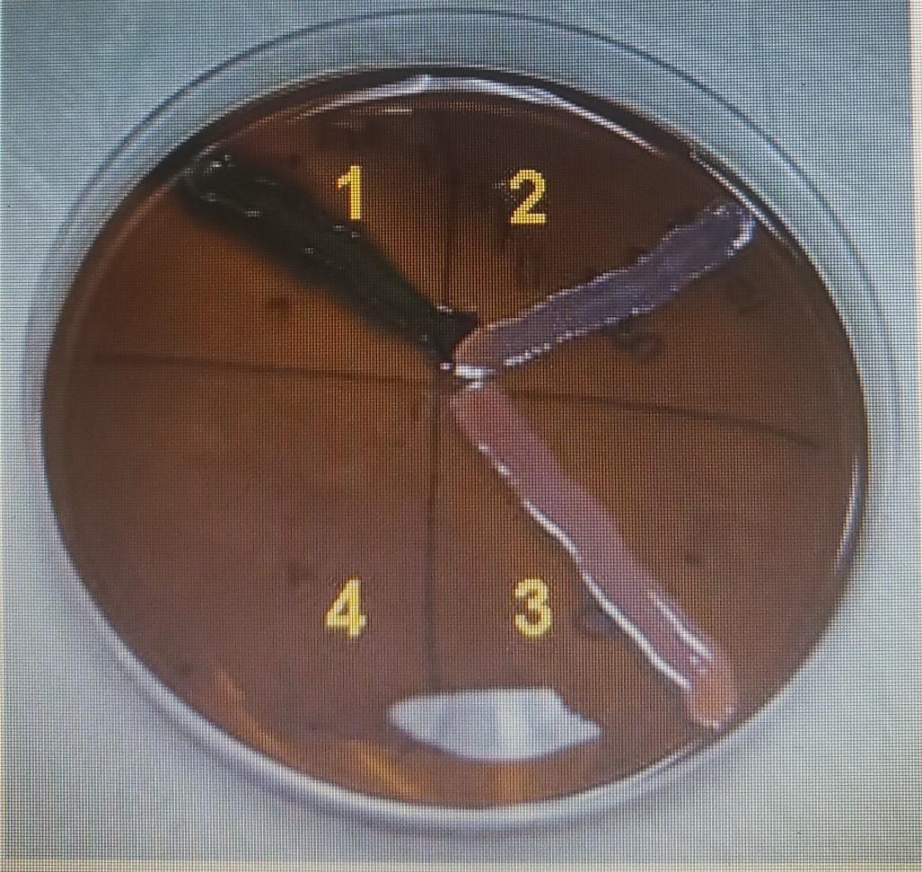 Solved In the image shown here below, the number that | Chegg.com