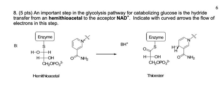 Solved 6 8. (5 pts) An important step in the glycolysis | Chegg.com