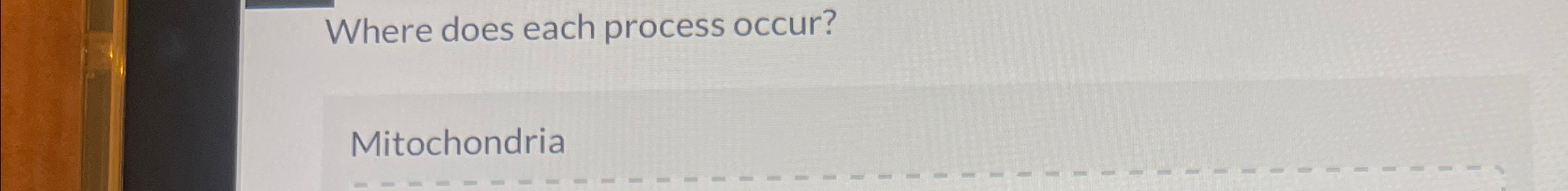 Solved Where does each process occur?Mitochondria | Chegg.com