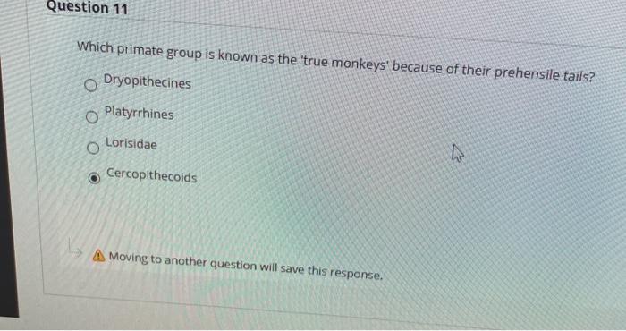 Solved Question 11 Which primate group is known as the true | Chegg.com