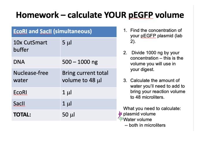 Solved Homework - calculate YOUR pEGFP volume 1. Find the | Chegg.com