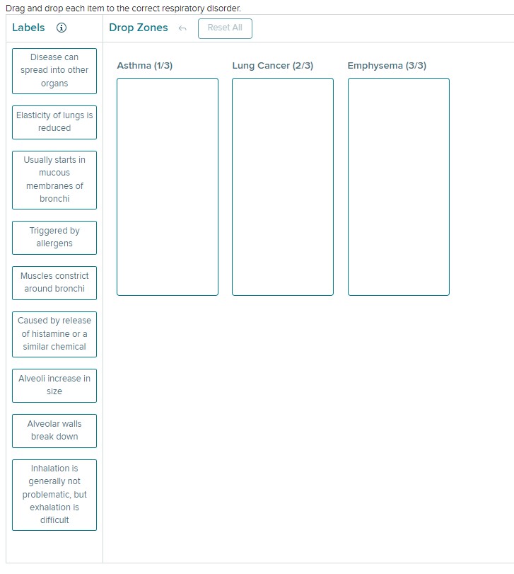 Solved Drag and drop each item to the correct respiratory | Chegg.com