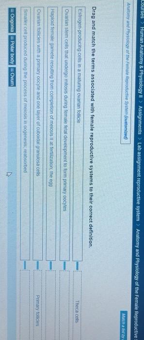 Solved Courses Human Anatomy & Physiology > Assignments > | Chegg.com