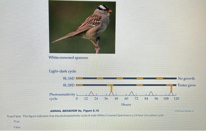 What is the exogenous cue that stimulates seasonal | Chegg.com
