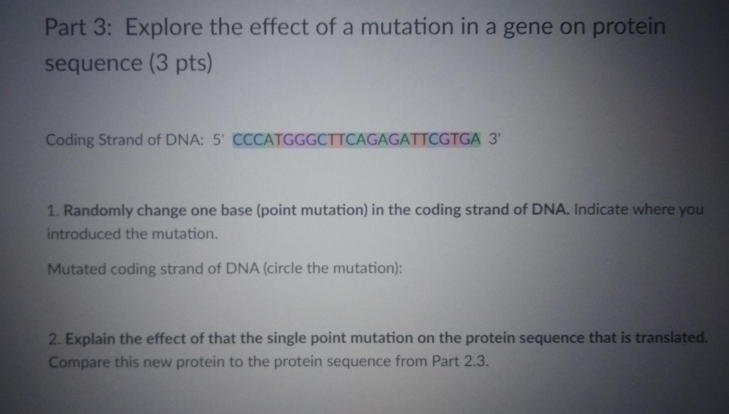 Solved Part 1: Transcribe a small fragment of DNA (3 pts) | Chegg.com