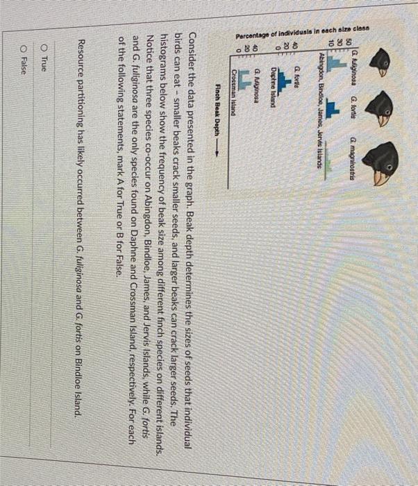 Solved Consider the data presented in the graph. Beak depth | Chegg.com