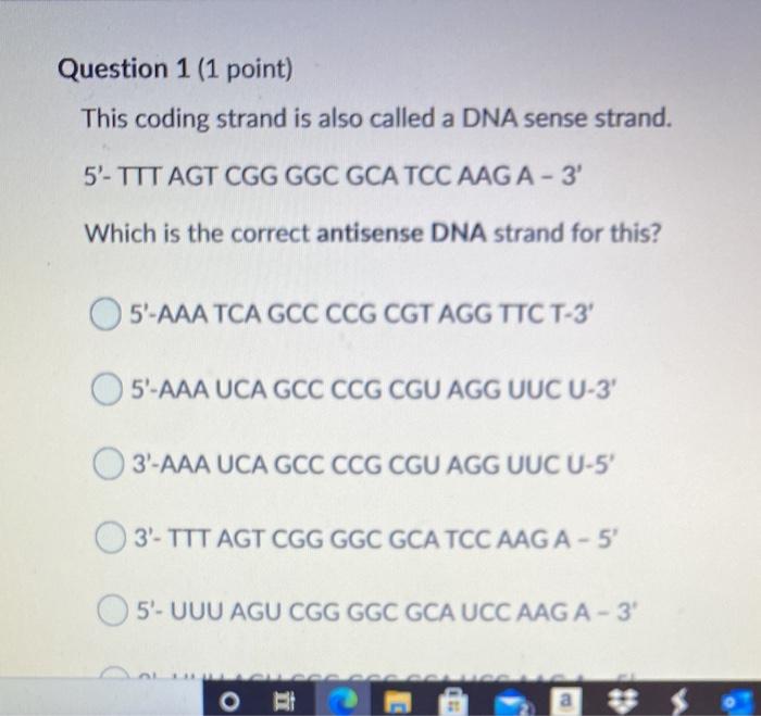 Solved Question 1 (1 point) This coding strand is also | Chegg.com