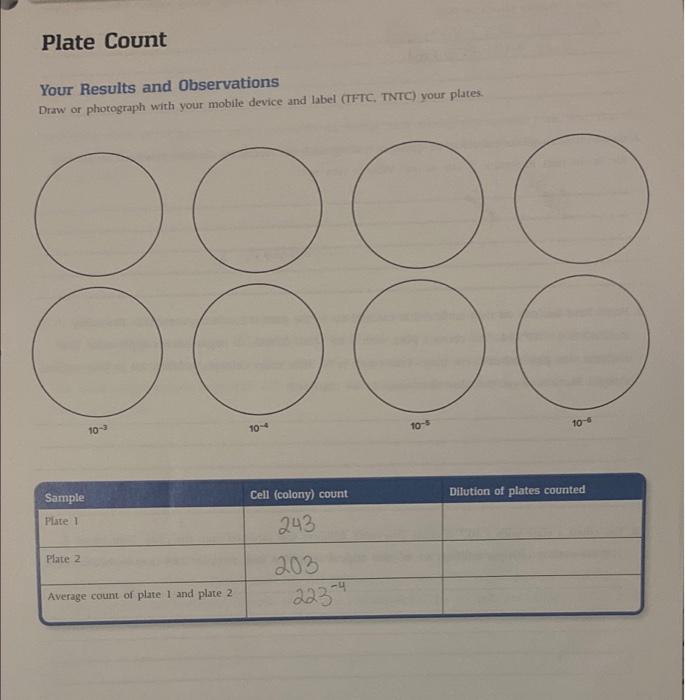 Solved Plate Count Your Results and Observations Draw or | Chegg.com
