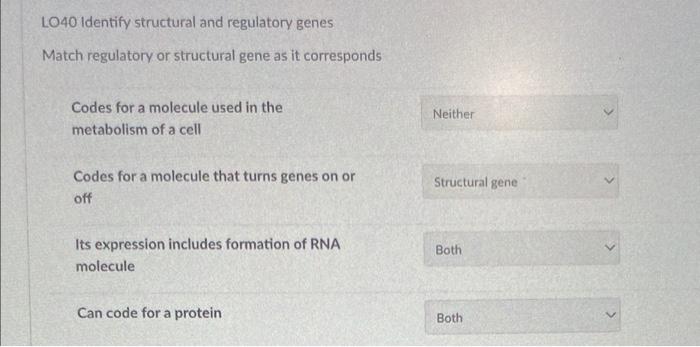 Solved LO 40 identify structural and regulatory genes Match | Chegg.com