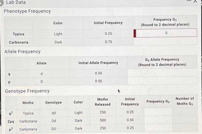 Solved Lab Data Phenotype Frequency Allele Frequency | Chegg.com