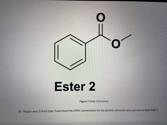 Solved IUPAC of Carboxylic acid IUPAC of Ester Experiment 1 | Chegg.com