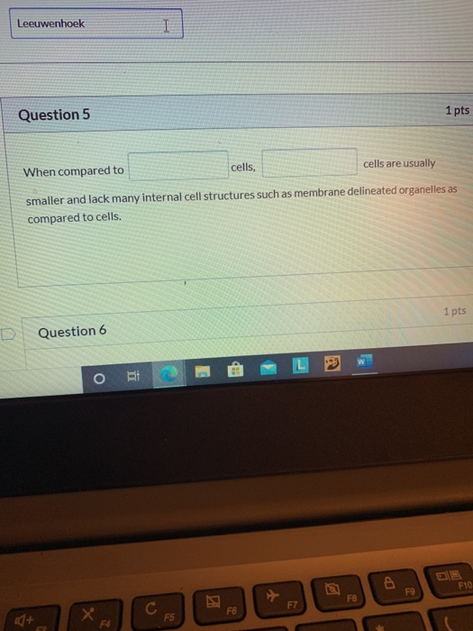 Solved Leeuwenhoek 1 Question 5 1 pts cells, When compared | Chegg.com