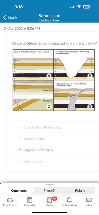 Solved Which of Stenos Laws is depicted in picture D below? | Chegg.com