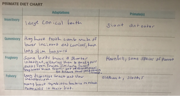 Solved 6. In this lab, we reviewed primate diets and dietary | Chegg.com