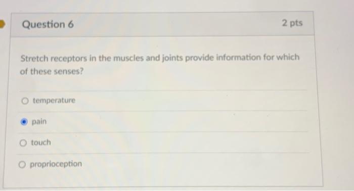 Solved Stretch receptors in the muscles and joints provide | Chegg.com