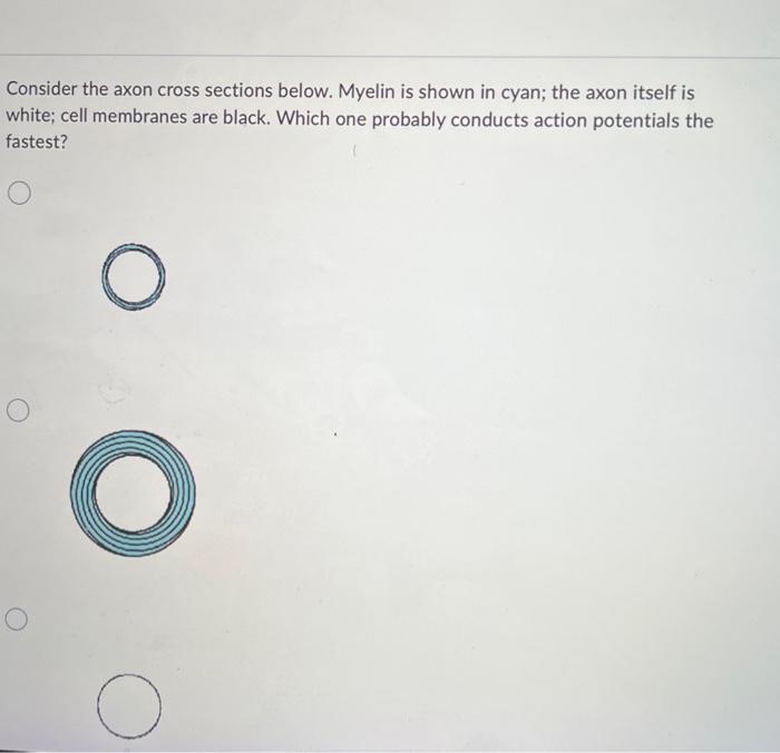 Solved Consider the axon cross sections below. Myelin is | Chegg.com