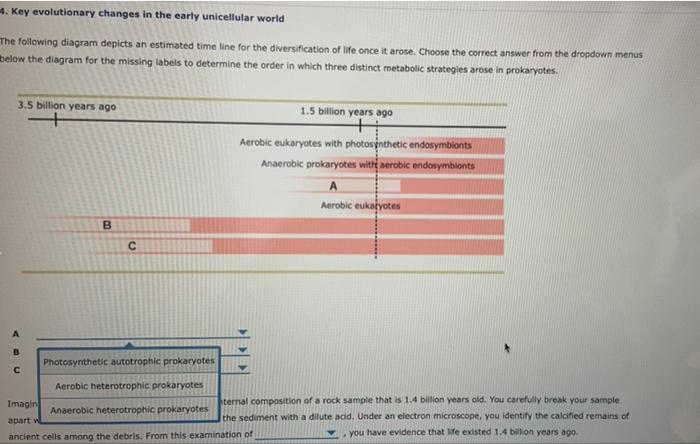 Solved Key evolutionary changes in the early unicellular | Chegg.com