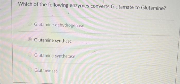 Solved Which of the following enzymes converts Glutamate to | Chegg.com