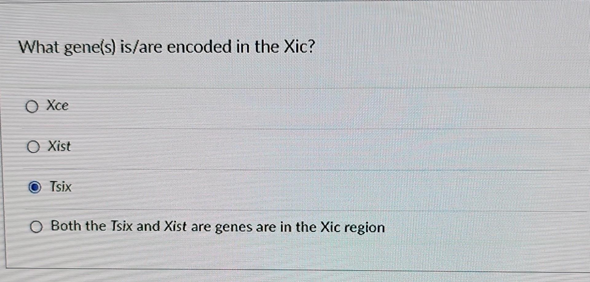 Solved What gene(s) is/are encoded in the Xic? Xce Xist Tsix | Chegg.com