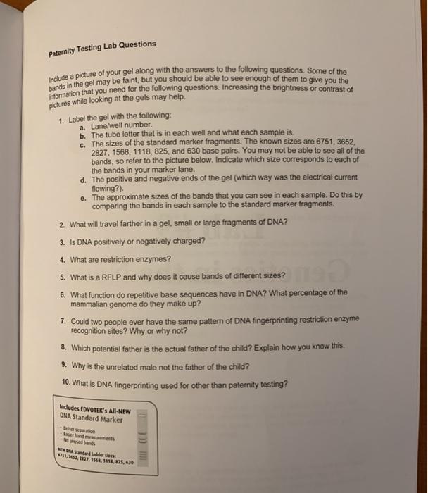 Solved Paternity Testing Lab Questions Include a picture of | Chegg.com