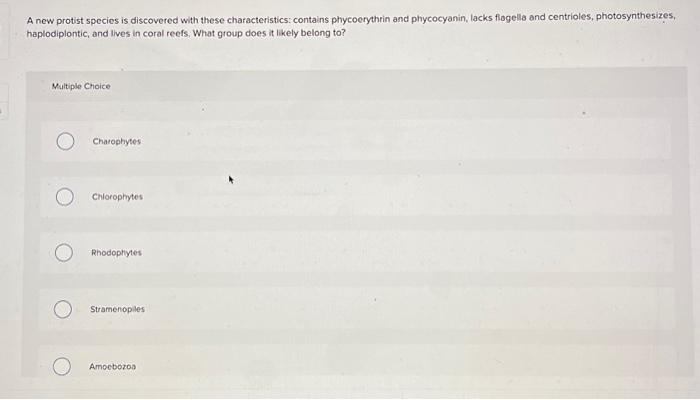 Solved A new protist species is discovered with these | Chegg.com