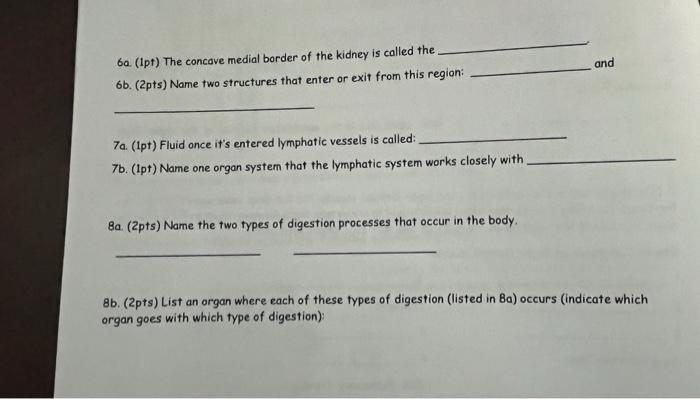 Solved 6a. (1pt) The concave medial border of the kidney is | Chegg.com