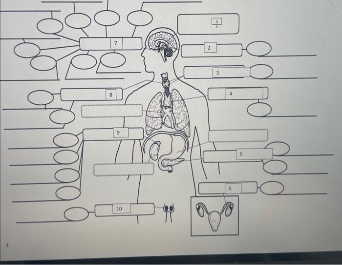 Solved can someone help with this | Chegg.com