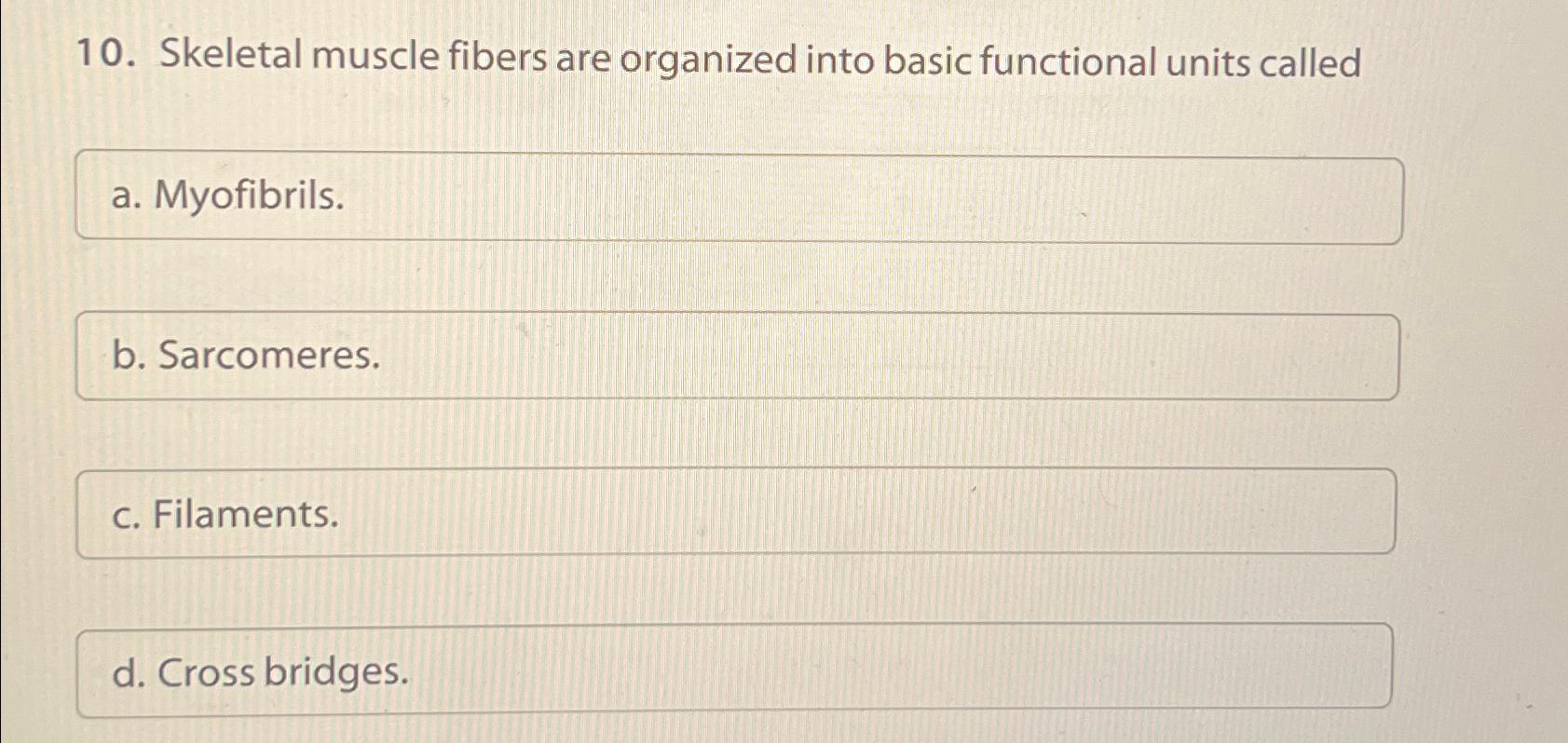 Solved Skeletal muscle fibers are organized into basic | Chegg.com