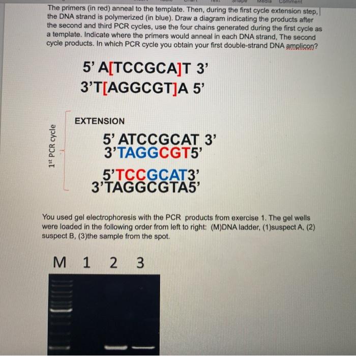 Help please with:a diagram indicating the products | Chegg.com