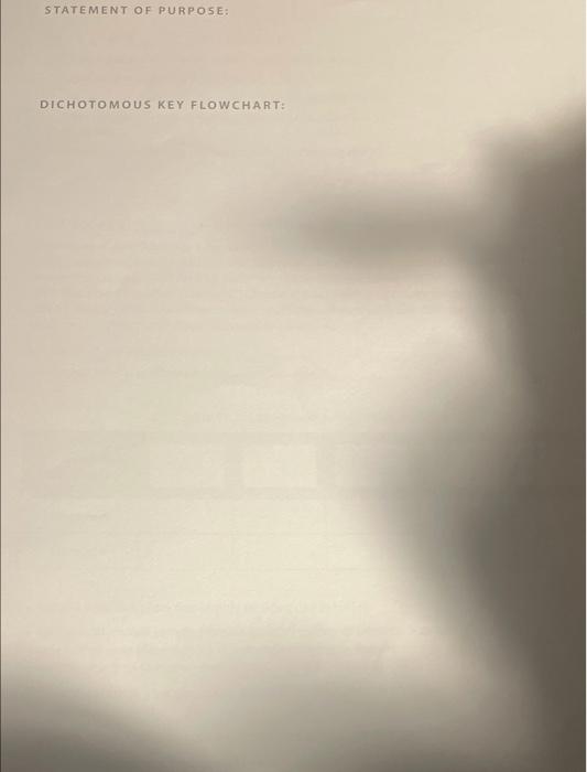 Purpose Of Dichotomous Key