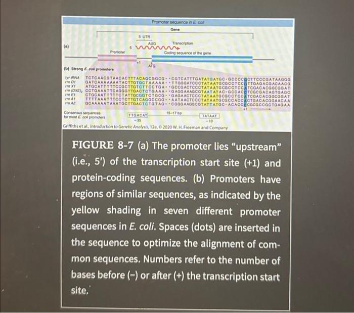 Solved 8. In Figure 8−7 b, write the sequence of the first | Chegg.com