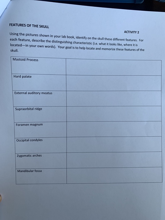 Solved FEATURES OF THE SKULL ACTIVITY 2 Using the pictures | Chegg.com