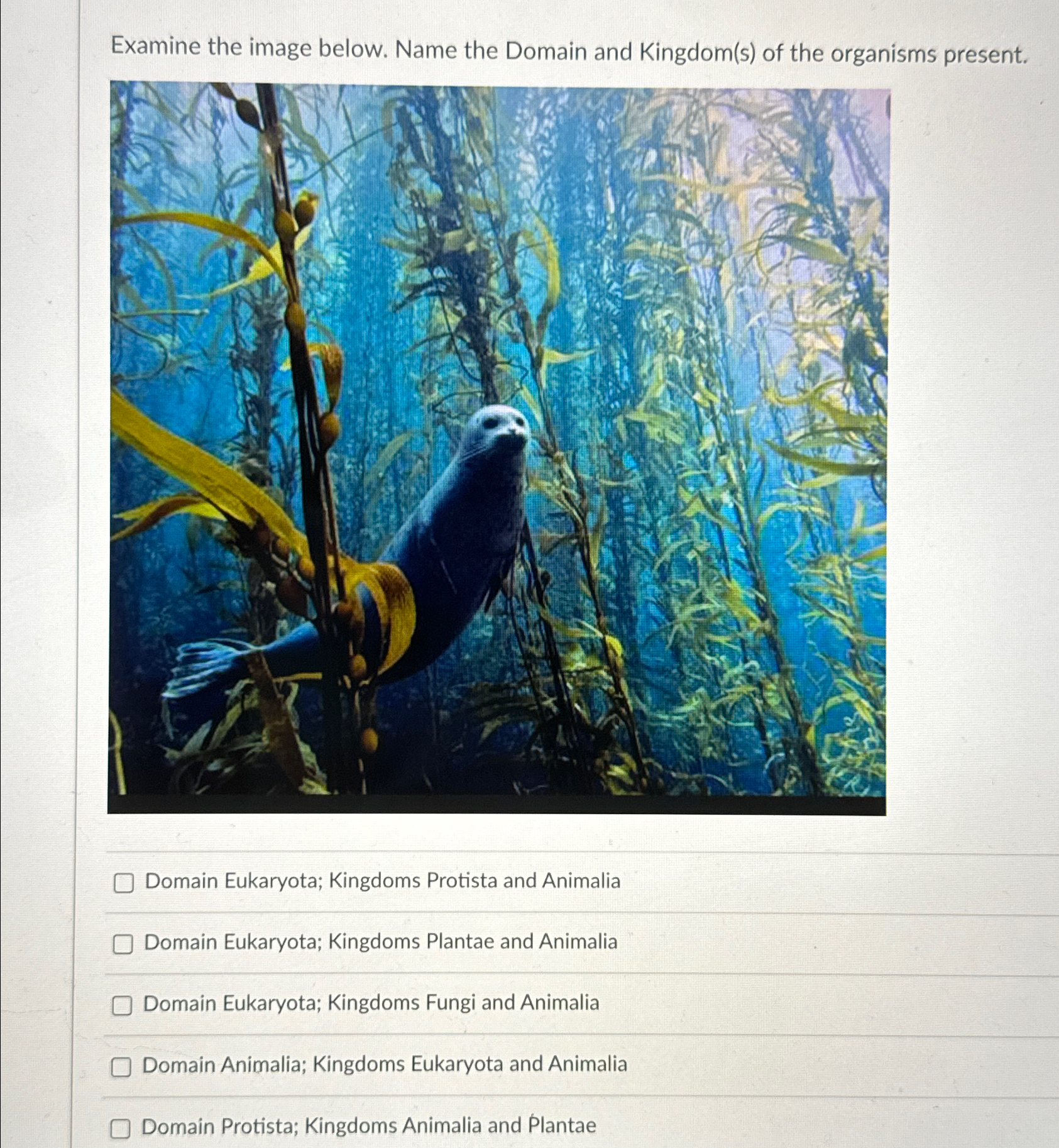 Examine the image below. Name the Domain and | Chegg.com