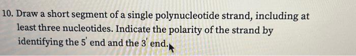 Solved 0. Draw a short segment of a single polynucleotide | Chegg.com