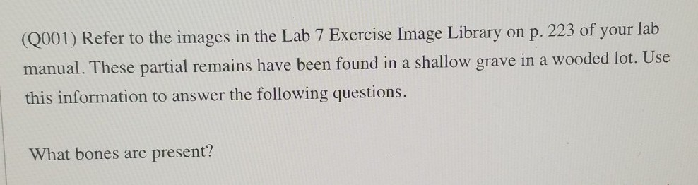 Q001 Refer To The Images In The Lab 7 Exercise